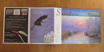 Oil paintings by DF Dane